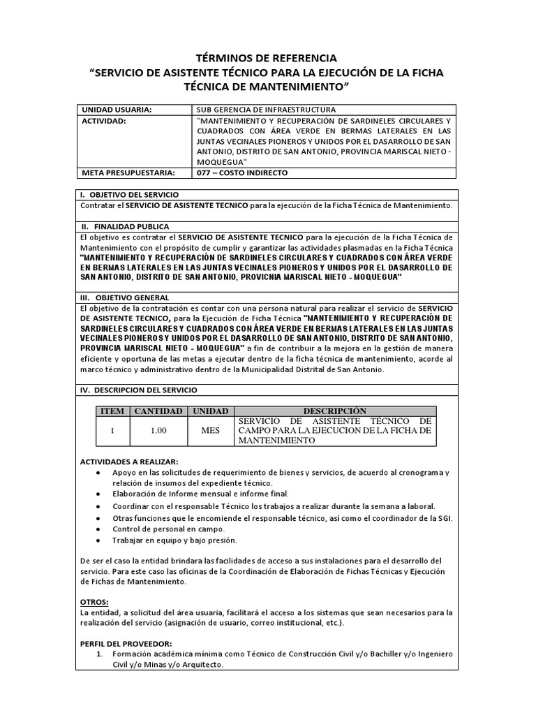 TDR Asistente Tecnico 2 | PDF