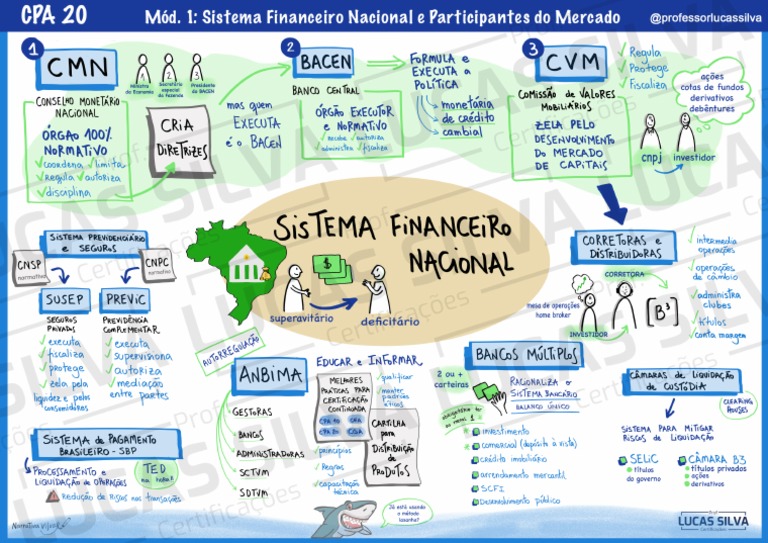 Mapa Mental Cpa 20 Mod1 Lucas Silva | PDF