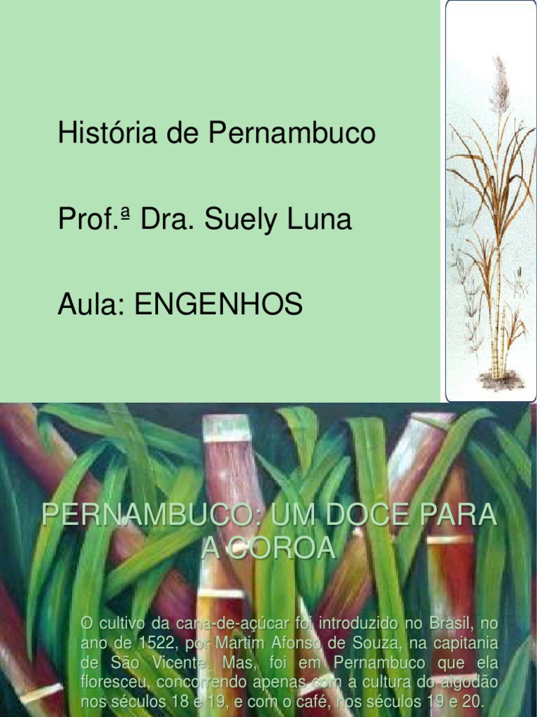 HISTÓRIA DE PERNAMBUCO - AULA - Engenhos | PDF