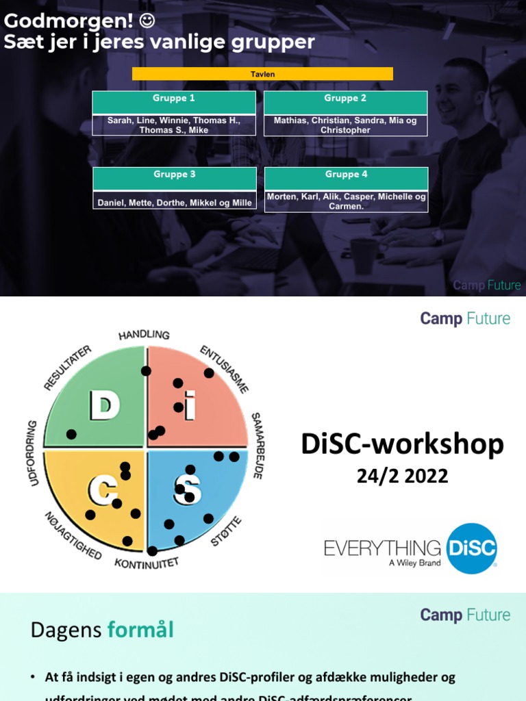 DiSC Workshop Aarhus - 24.02.22 | PDF