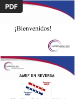 03 Manual Sintesis AMEF1 AIAG VDA Espanol Julio 2019 | PDF ...