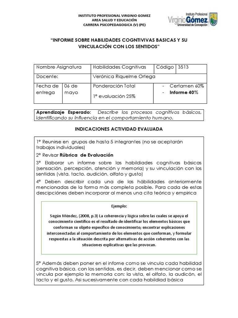 Indicaciones Actividad Evaluada Informe | PDF
