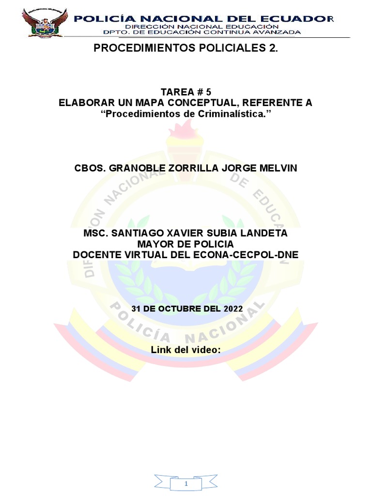 Tarea 5 Mapa Conceptual | PDF | Menor (ley) | Mala conducta