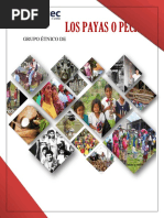 Cultura y Historia de los Pech en Honduras | PDF | Pueblos Indígenas de ...