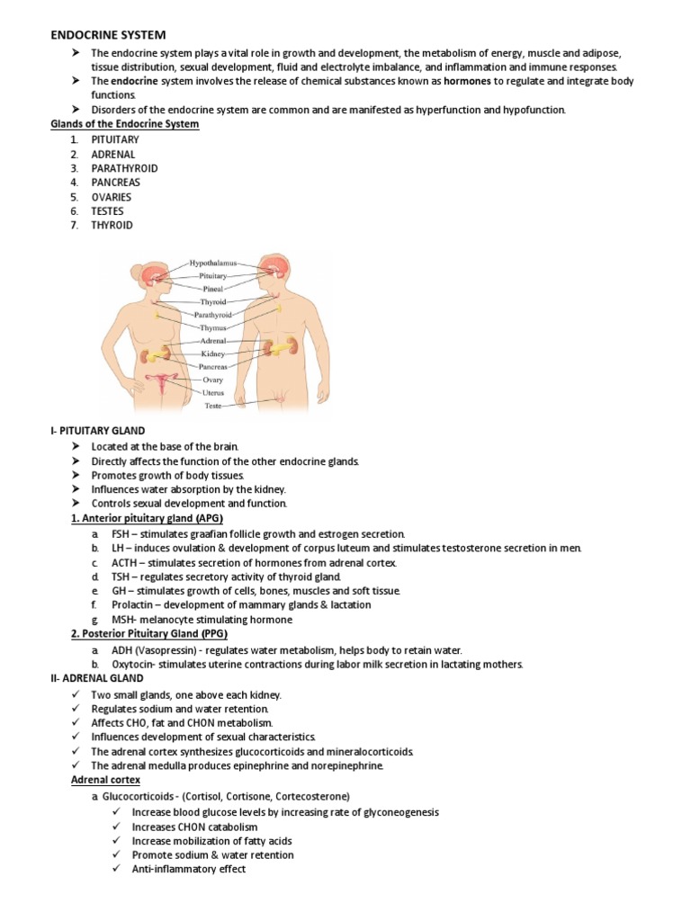 Acromegaly Overview and Management | PDF | Adrenal Gland | Endocrine System
