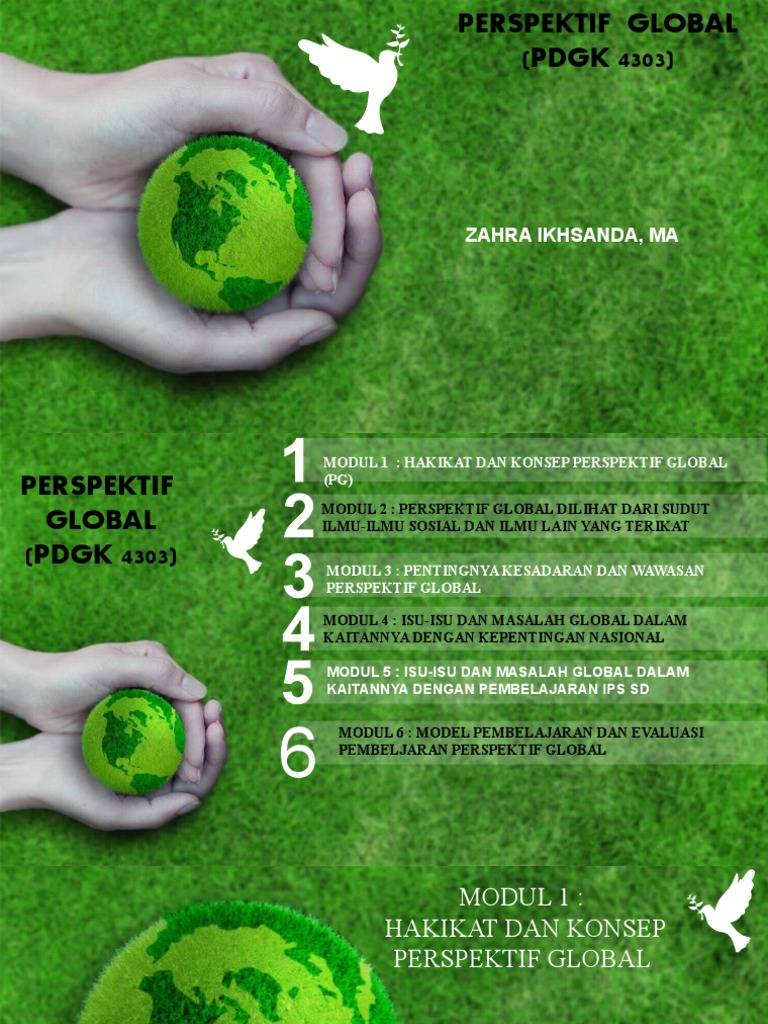 Global Perspectives | PDF