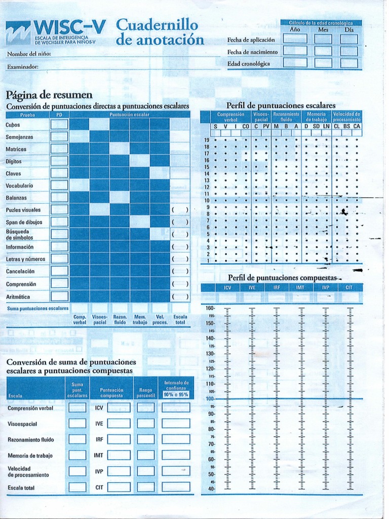 Cuadernillo de Anotaciones Wisc V | PDF