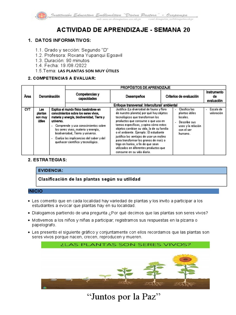 Utilidad de las Plantas en Segundo Grado | PDF | Hipótesis | Plantas