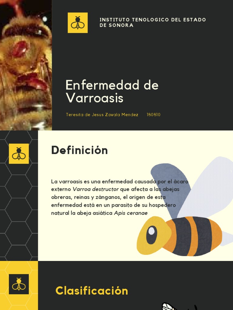 Enfermedad de Varroasis | PDF | Apicultura | Abejas