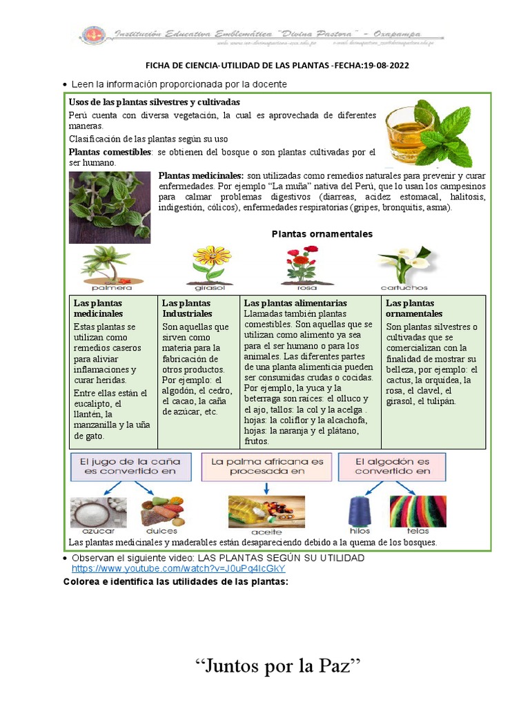 FICHA CIENCIA. - Las Plantas Son Muy Útiles. | Descargar gratis PDF ...