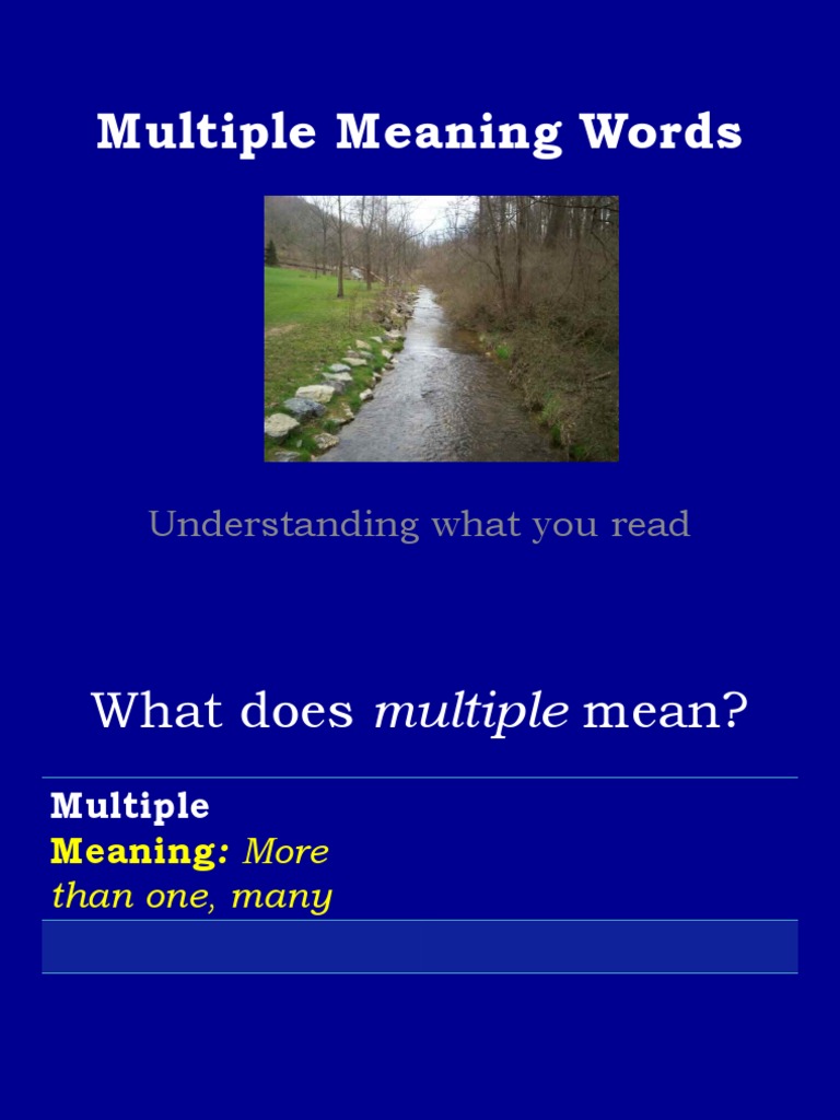 Understanding Multiple Meaning Words | PDF