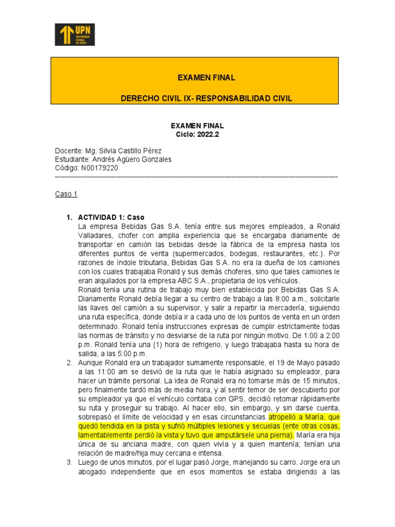 Aguero - ExFinal - Responsabilidad Civil | PDF | Causalidad (Ley) | Propiedad