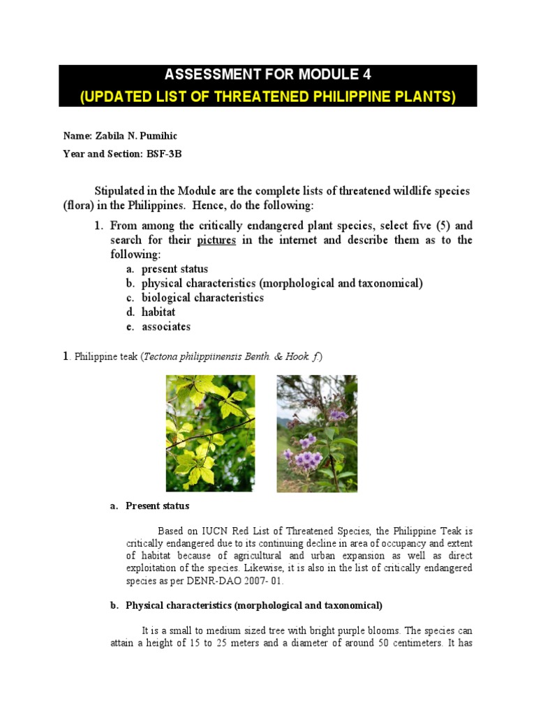 Critically Endangered Philippine Teak | PDF | Orchidaceae | Gardening
