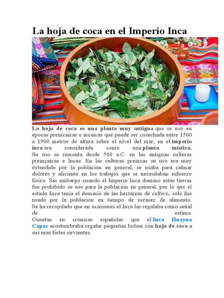 La Hoja de Coca en El Imperio Inca2 | PDF | Imperio Inca
