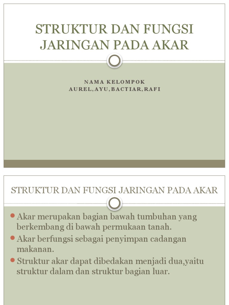 Struktur Dan Fungsi Jaringan Pada Akar 2 | PDF | Perjalanan | Sains ...