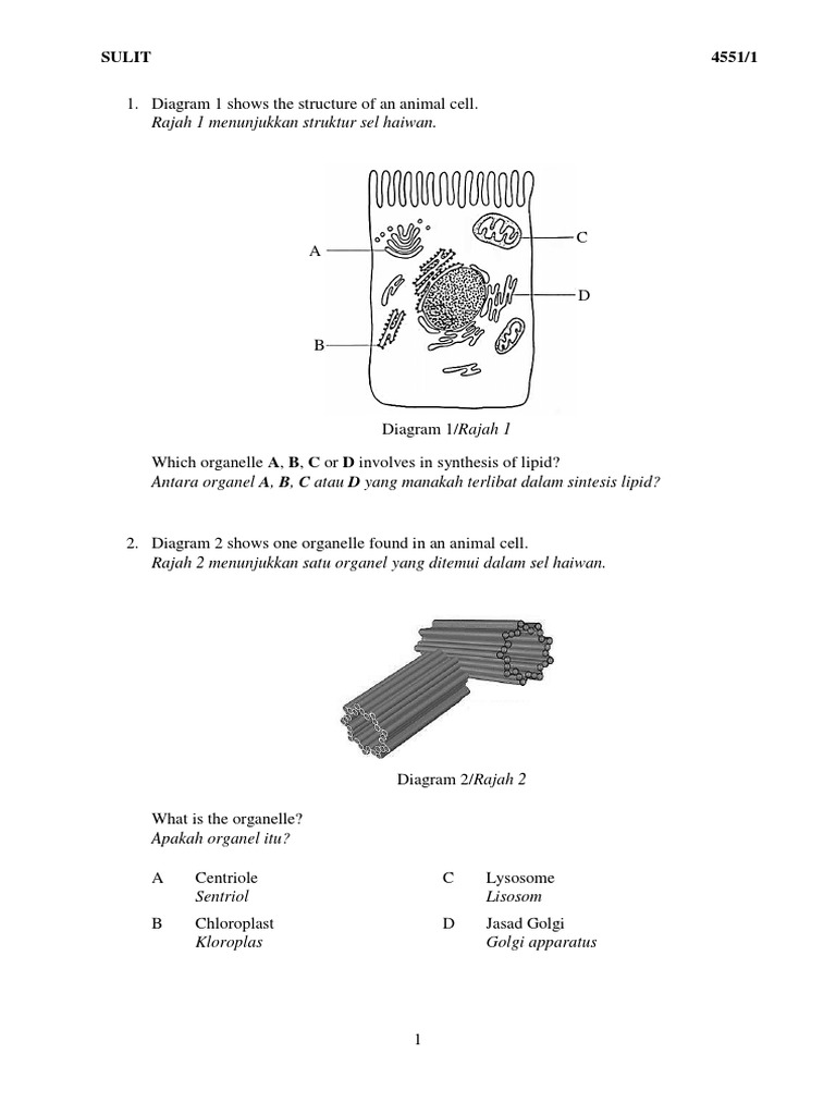 Biology - Kertas 1 Pep Pertengahan Tahun MPP2 Terengganu 2020 - Soalan ...