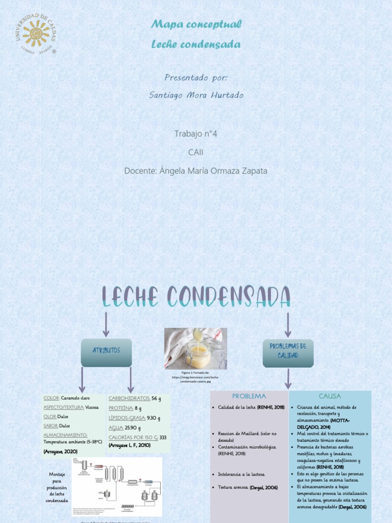 Mapa Conceptual Leche Condensada | PDF | Leche | Química