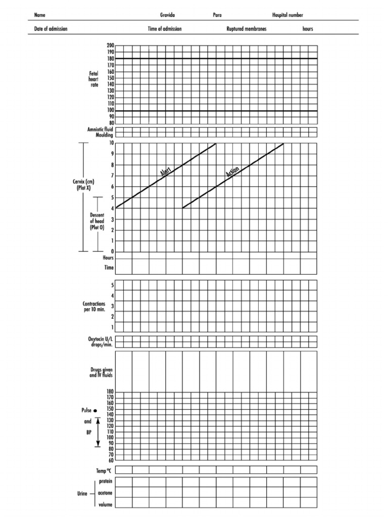 Partograph Forms | Download Free PDF | Childbirth | Health Sciences