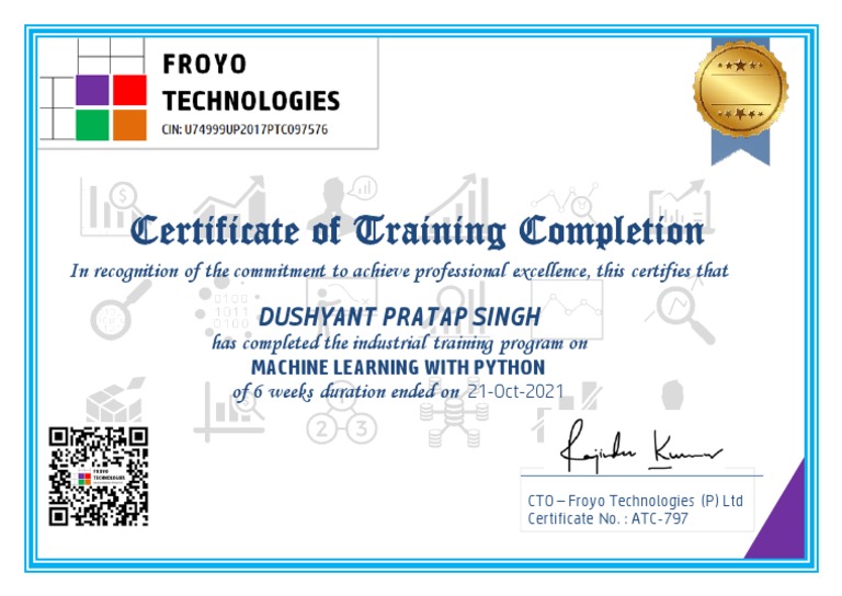 Internship | PDF | Technology & Engineering