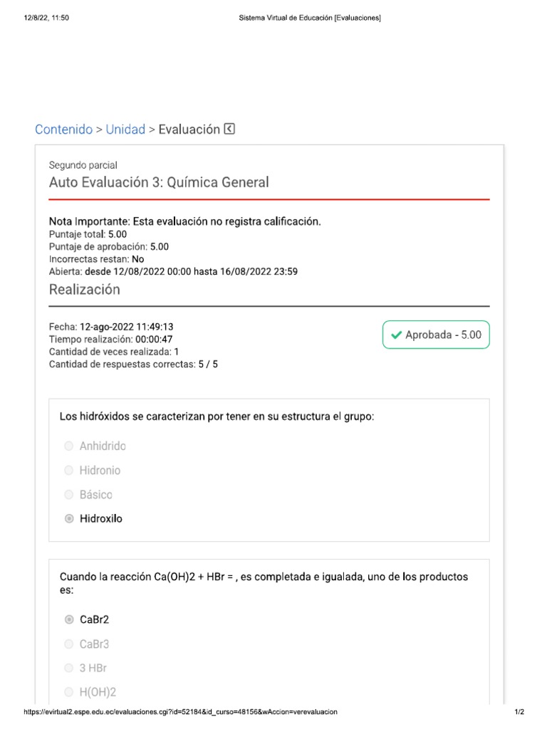 Autoevaluacion Quimica T3 Nota 5 | PDF