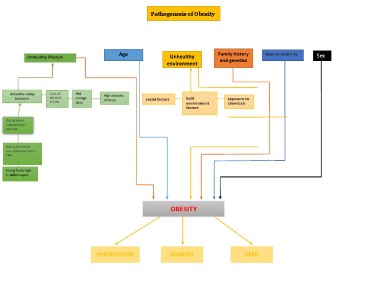 Pathophysiology of Obesity | PDF