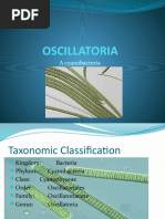 NYC DOE Comprehensive Injury Report Guide | PDF