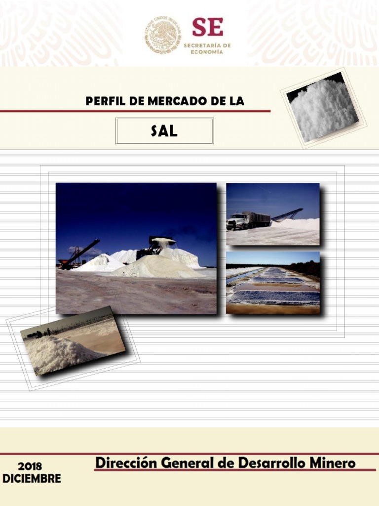 Análisis del Mercado de la Sal en México | PDF | sal | Sal (química)