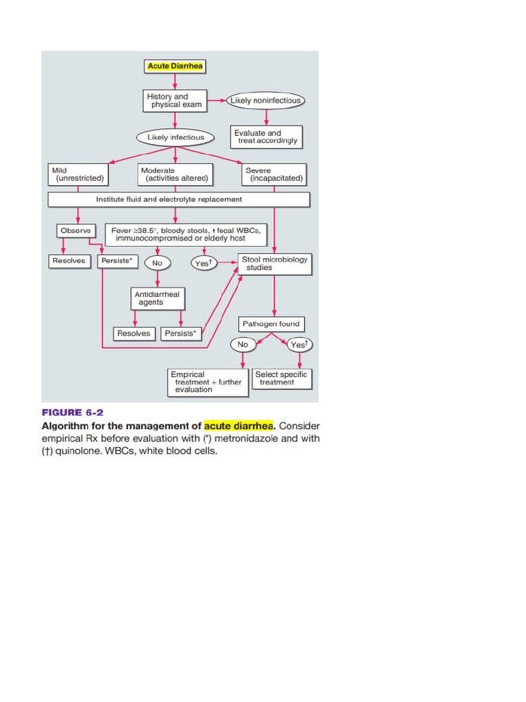 Alur Tatalaksana Diare Akut | PDF