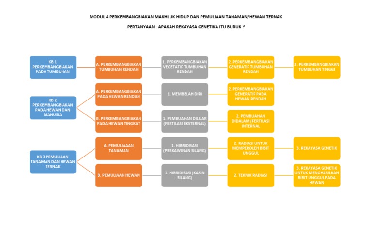Mindmap PDGK4103 Modul 4 | PDF