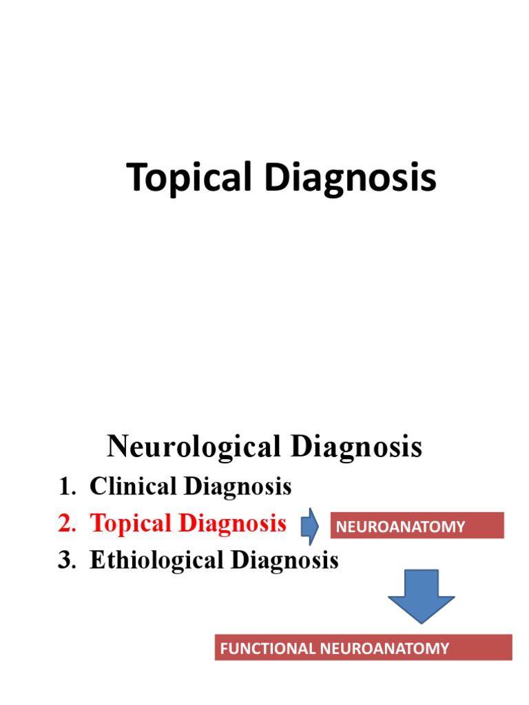 4-TOPICAL DIAGNOSIS-clinical Anatomy | PDF | Spinal Cord | Motor Neuron