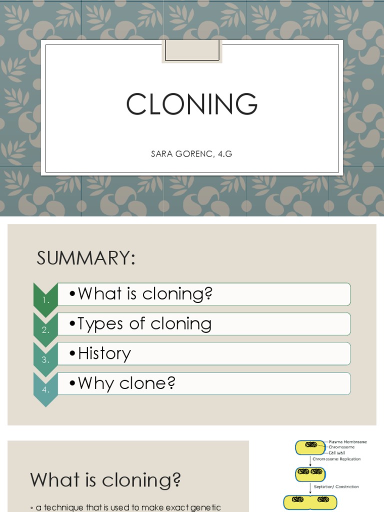 Types of Cloning Explained: Gene, Therapeutic, Reproductive | PDF ...