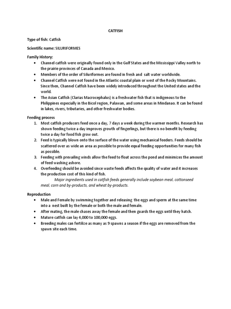 Catfish | PDF | Spawn (Biology) | Fish Catfish | PDF | Spawn (Biology) | Fish