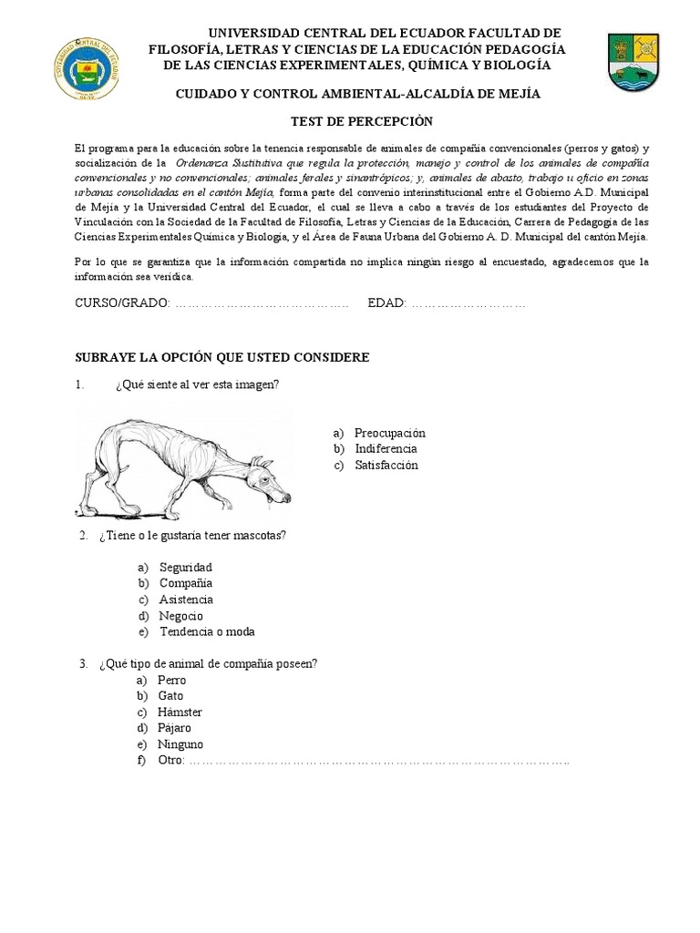 Test Percepcion. FINAL | PDF | Mascota