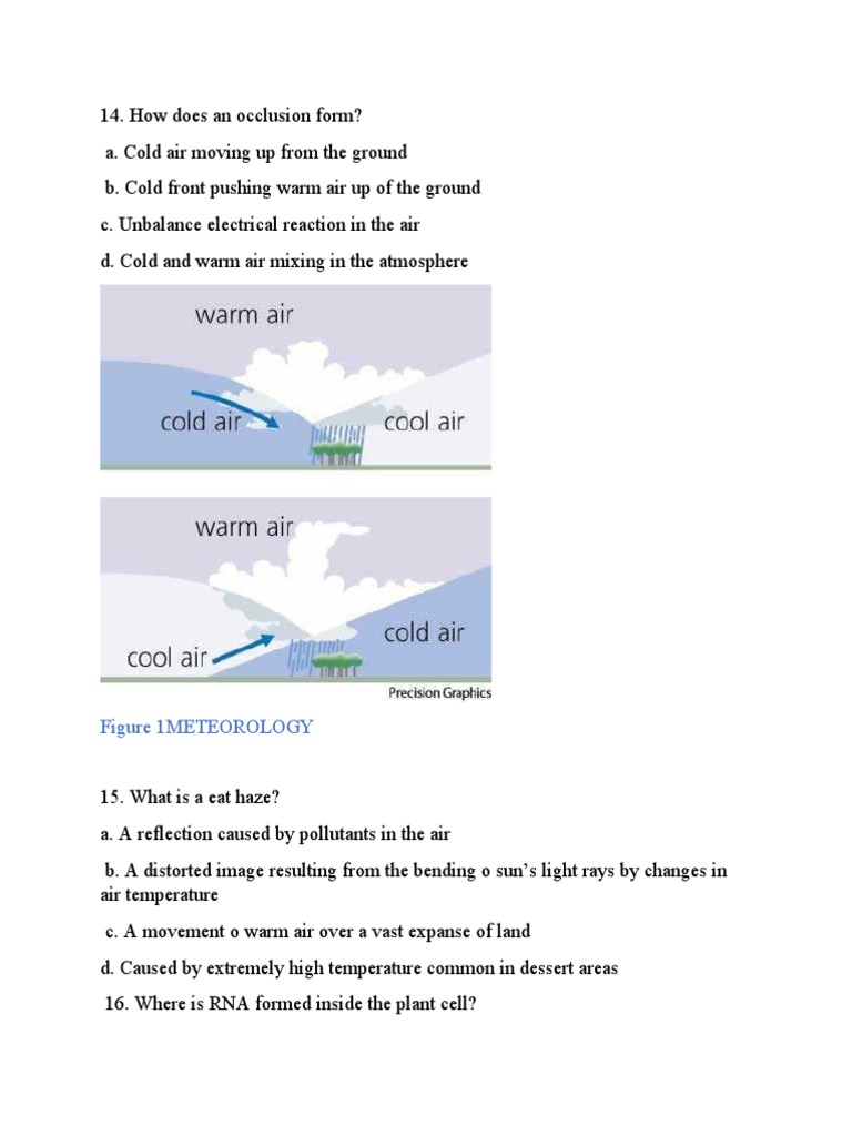 Science 14 | PDF