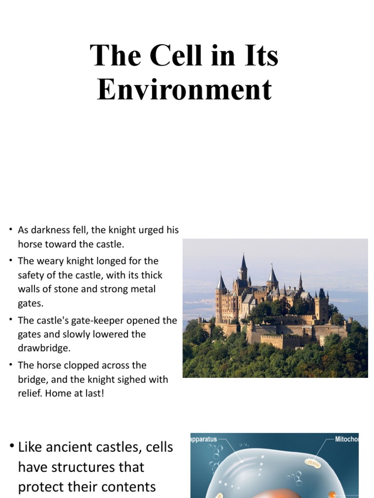 The Cell in Its Environment | PDF | Diffusion | Cell Membrane