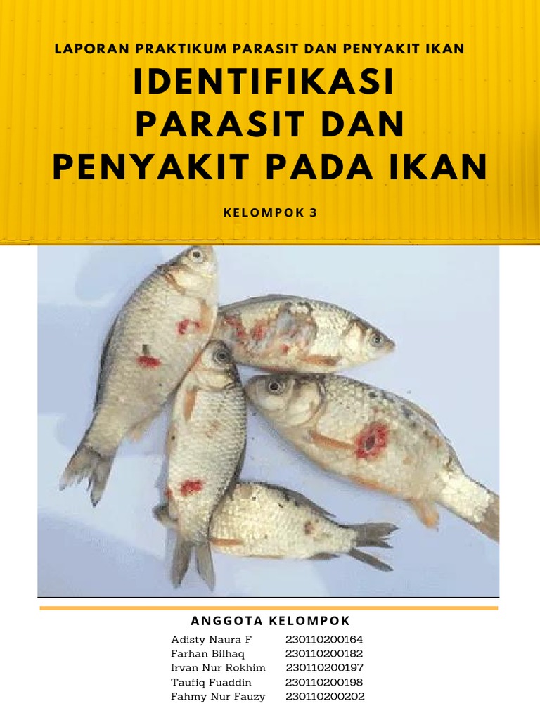Laporan Praktikum Parasit Dan Penyakit Pada Ikan | PDF