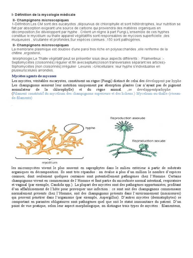Mycètes Agents de Mycoses | PDF | Sciences et mathématiques
