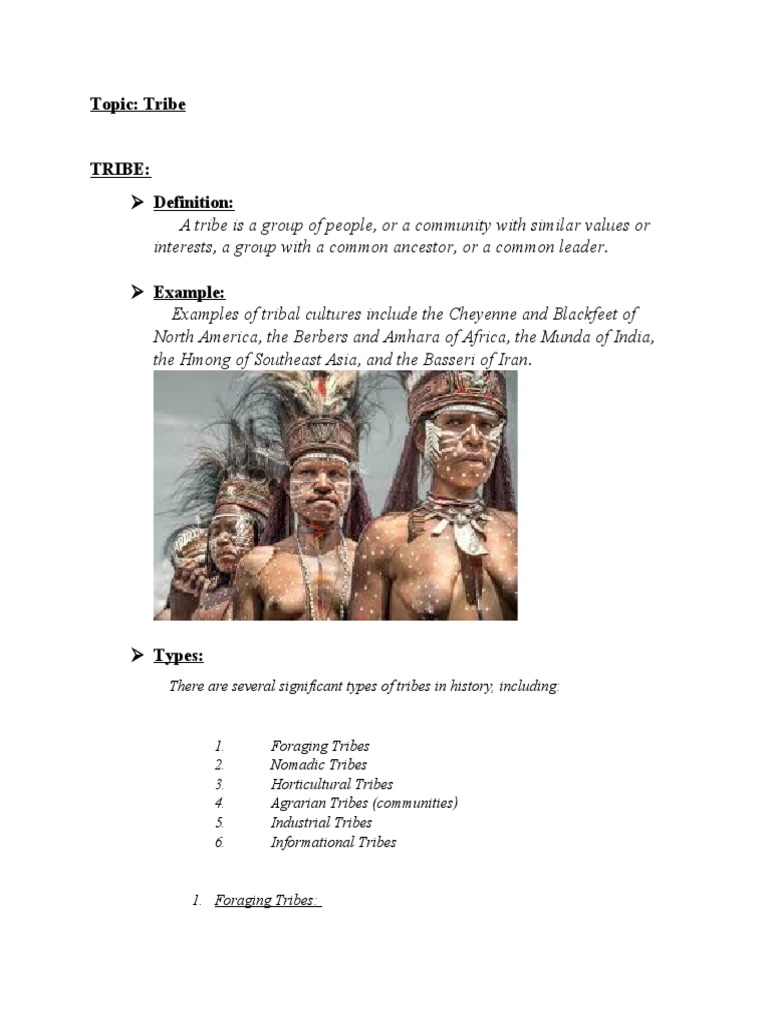 Understanding Tribes: Types and Examples | PDF | Politics | Social Science