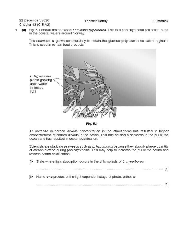 Cie A2 - 13 | PDF | Photosynthesis | Carbon Dioxide
