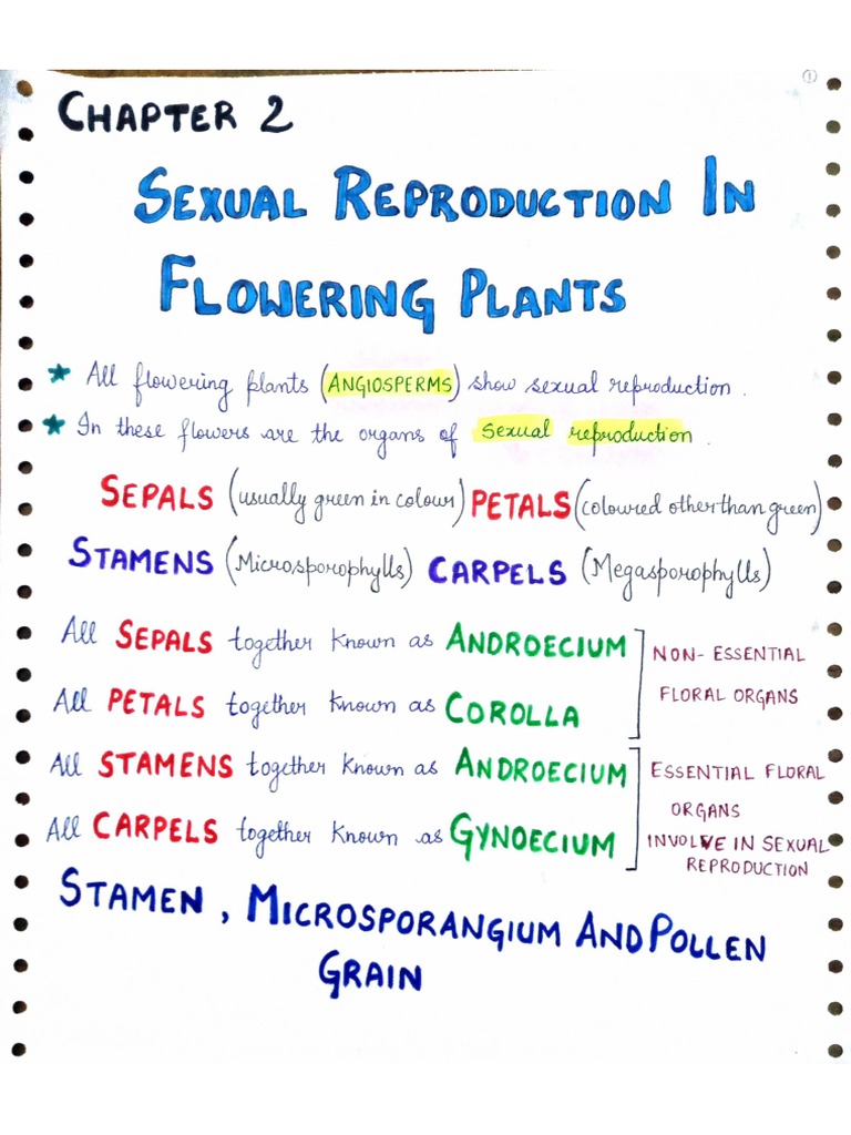 Sexual Reproduction in Flowering Plants | PDF