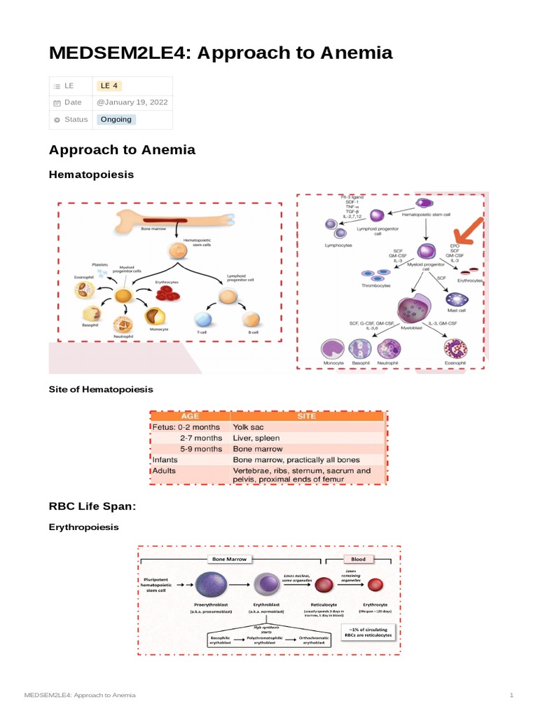 MEDSEM2LE4 Approach To Anemia | PDF | Anemia | Red Blood Cell