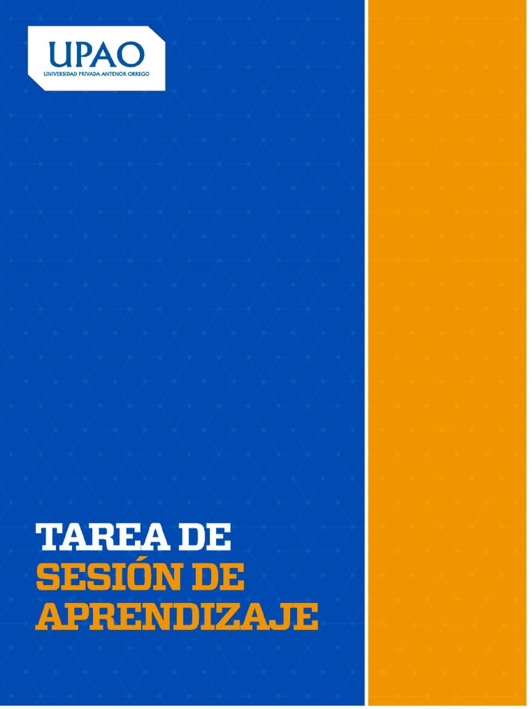 Protocolo RPD Rpi | PDF