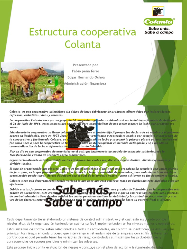 Estructura Cooperativa Colanta | PDF | Cooperativa | Calidad (comercial)