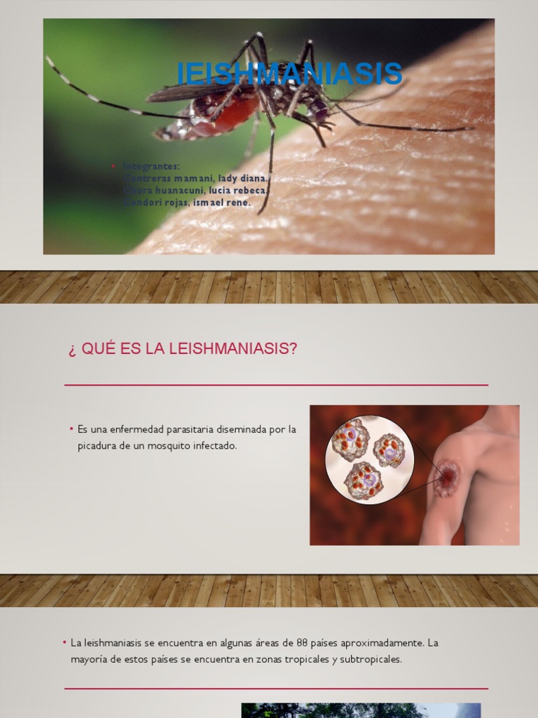 Leishmaniasis: Tipos y Epidemiología | PDF | Ciencias de la Salud ...