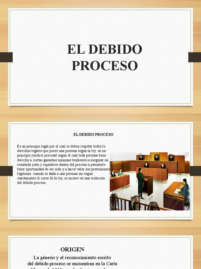 El Debido Proceso | PDF | Debido al proceso | Instituciones sociales