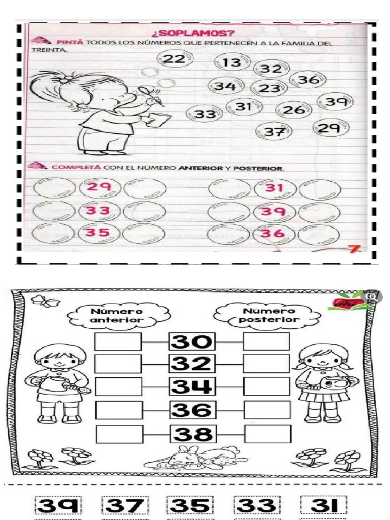 Anterior y Posterior de La Familia Del 30. | PDF