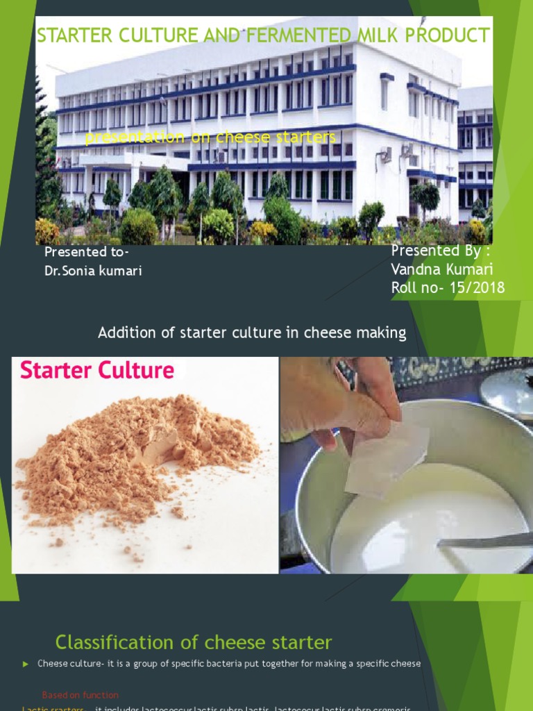 Cheese Starter Cultures Overview | PDF | Cheese | Lactic Acid