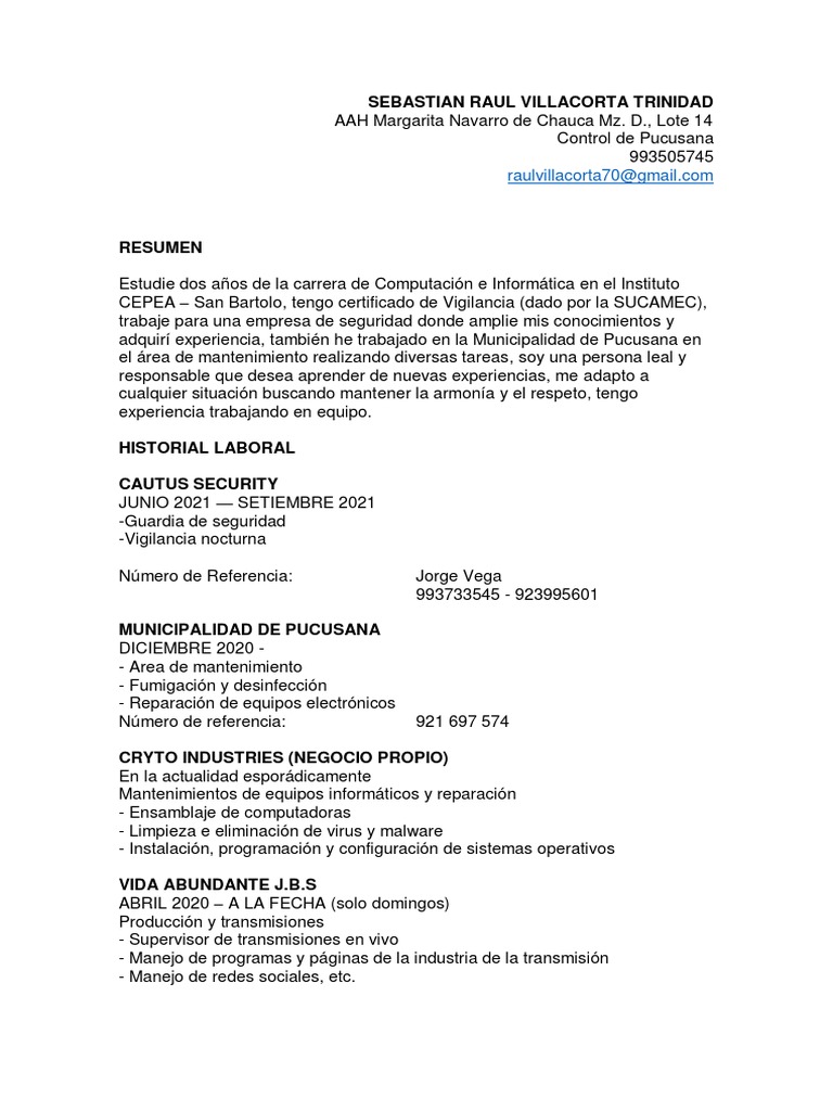 CV Villacorta Trinidad Sebastian Raul | PDF | Informática