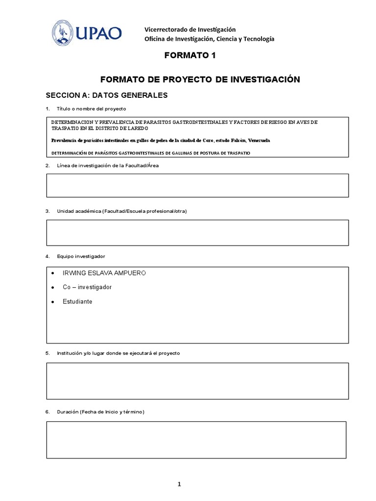 FORMATO Proyecto de Investigación | PDF | Presupuesto
