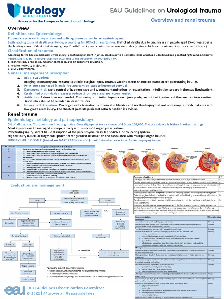 EAU Guidelines Cheat Sheet Renal Trauma Oct 2021 | PDF | Kidney | Major ...